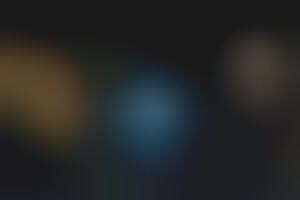 Championship-Celebrating Loot Boxes : valorant 2025 vct