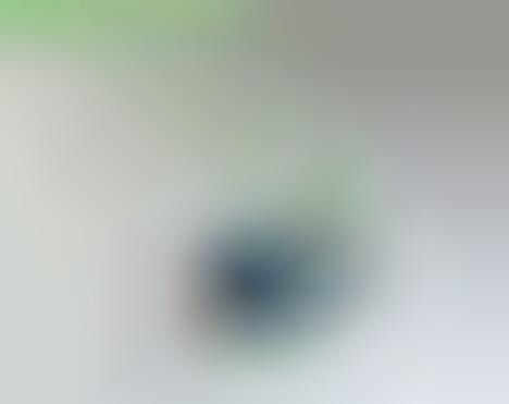 Nature-Inspired Mobile Phones: The Leaf Phone by Anastasia Zharkova is ...