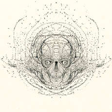 Rorschach Test Skulls: Andy Gilmore Illustrations Analyze the Darker ...