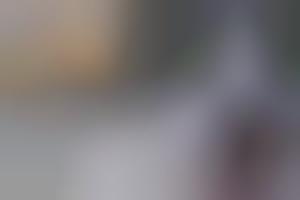 Animal Photobombing: Cameras Capture Confused Pets Hamming it up