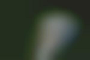 Urban Hen Houses: 'Poultry Pods' are Affordable Coops for City Chickens