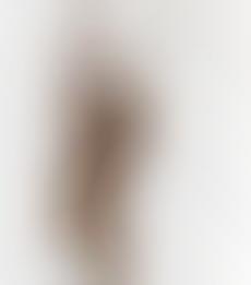 Endangered Animal Portraits: Eric Isselee's 'Life on White ...