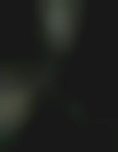 Charismatic Celeb Portraits: Patrick Hoelck Photography Lets the Celebs ...