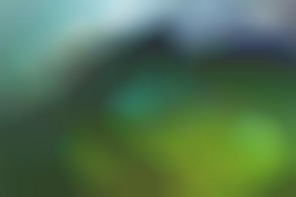 25 Submerged Artworks