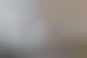 Iconic Chicago Towers : Tribune Tower