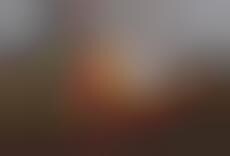 Rustic Woodland Churches: The Junquillos Chapel is a Picturesque ...