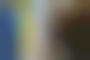 New Storefront Ventures: Microsoft Launched Its First Retail Store in ...