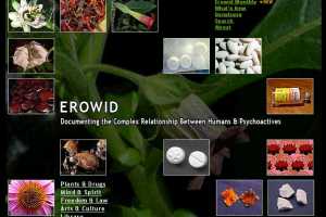 Cataloging Recreational Drugs: The Erowid Website Classifies Every ...