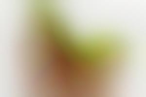 Spiky Seats: The Funky Blast Chair Offers a Multi-Leg Sitting Experience