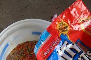 Cereal Beer: Non-Traditional Ingredients Make Breakfast Taste Like ...