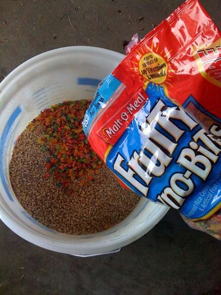 Cereal Beer: Non-Traditional Ingredients Make Breakfast Taste Like ...