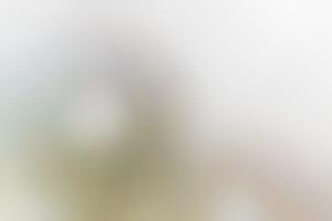 Ancient Civilization Accessories: Lama Hourani Jewelry Collection ...