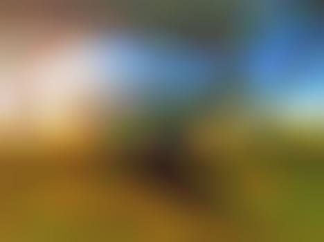 Water Collection from Air: WatAir Dew Harvesting System Provides Safe ...