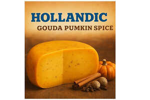 Spiced Autumnal Cheeses : Hollandic Gouda Pumpkin Spice