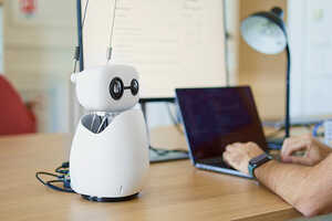 Open-Source Robot Companions : reachy mini