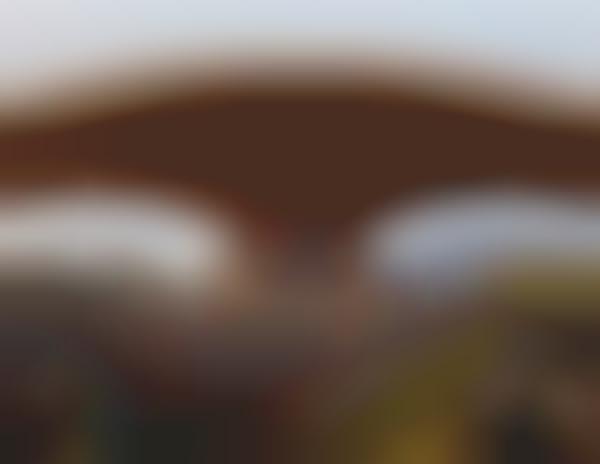 Contemporary Amphitheatre Designs : PNE Amphitheatre