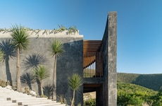 Top 95 World Trends in August