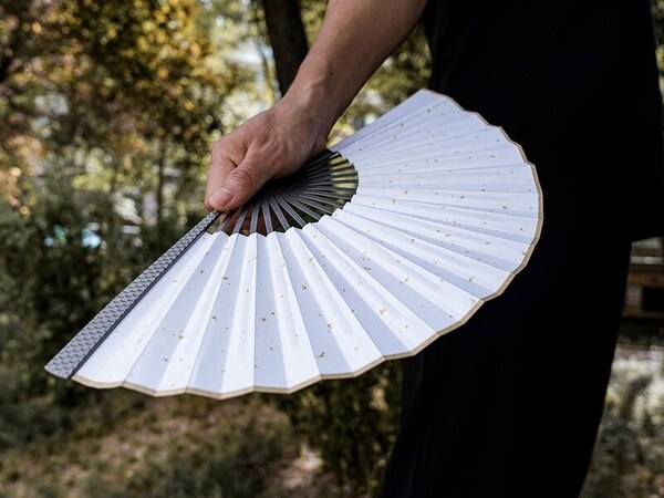 Modern Folding Fans : TI‑armour Titanium Fan
