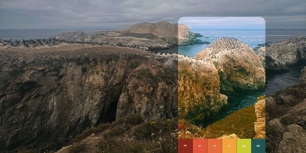 Real Time Film Filters : VSCO Capture