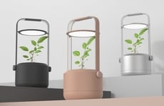 Top 100 Art & Design Trends in September