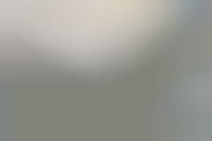 Complete Cardboard Commodes: Start It Up with Che Pablo Popeye Eyzenbach