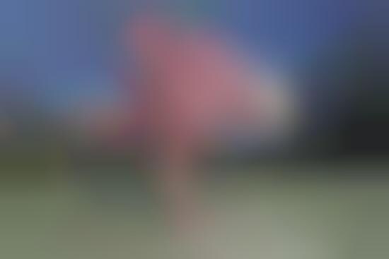 Elderly Yoga Masters: Bette Calman is an Inspirational 83-Year-Old Yoga ...