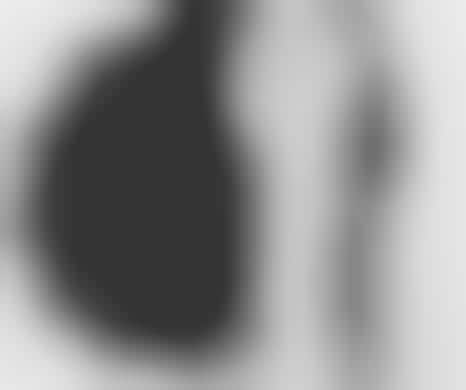 Roly-Poly Packs: The Pangolian Bag is the Perfect Urban Backpack