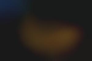 Molded Mansions: Conception to Construction of the Plastic Moon House ...