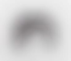 Reptilian Seating: The Hand-Crafted Ears Stool by Ayala Serfaty