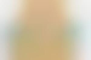 Nature-Loving Knickers: GreenKnickers Sells Eco-Friendly Underoos With ...