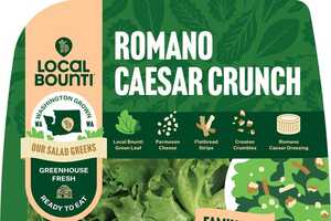 Family-Size Salad Kits : Family-Size Salad Kit