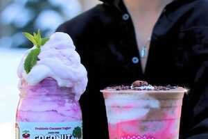 Festive Probiotic Yogurts : coconut cult