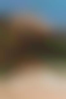 Detached Accessory Structures: Garden Cottages Add Residential Capacity ...