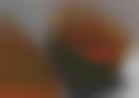 Futuristic Reading Pods: The Cooling Ribs Sofa for One Was Inspired by ...