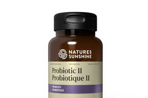 Powerful Probiotic Supplements : probiotic eleven