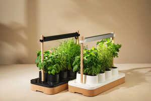 Indoor Herb Systems : Auk Mini