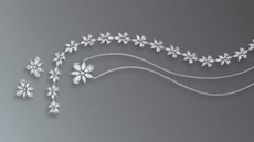 Delicate Jewelry Collaborations : Monique Lhuillier