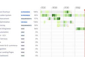 Delivery Analytics Platforms : Focus Flow1