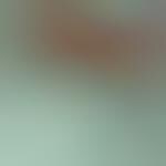 Inappropriate Playing Cards: Classic Monopoly Cards are Given an Adult ...