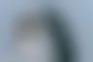 Pretty Wi-Fi Timepieces: Seiko's E-ink Bracelet Watch is Stylized for ...