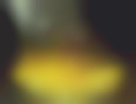 Cell Phones Killing Bees: Technology vs. Nature