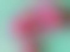 Meth + Pop Rocks = Strawberry Quik (Drug Branding Or Dealing to Kids?):