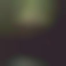 Fall Romance Spreads: Francesca Tallone Antler Magazine Shoot Follows a ...