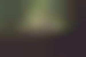 Fall Romance Spreads: Francesca Tallone Antler Magazine Shoot Follows a ...