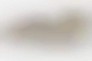 Copious Couches: The Next Large Sofa is Perfect for Big Spaces