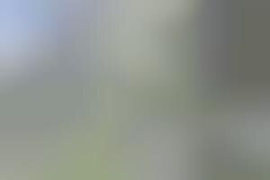 Eco Construction Buffers: The Symbiotic Green Wall Makes for an Eco ...