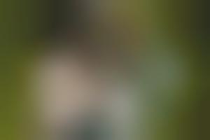 Birds Nest Hats: These Extravagant Etsy Designs Aren't for the Birds