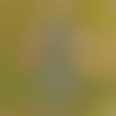 Colorful Clay Designs: Meredith Dittmar Sculptural Art is Creatively ...