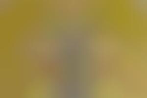 Colorful Clay Designs: Meredith Dittmar Sculptural Art is Creatively ...