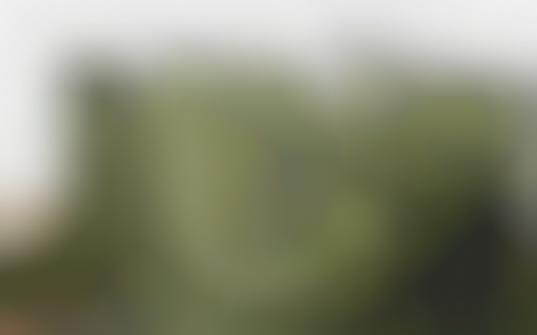 60 Cut-Out Architecture Designs